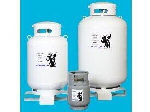 Odorants for gases and liquids Arkema.com